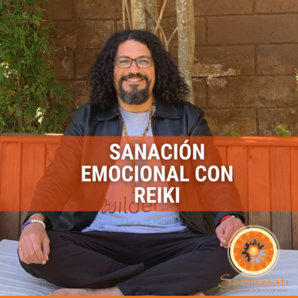 Sesiones de Terapia – Reiki Sammasati